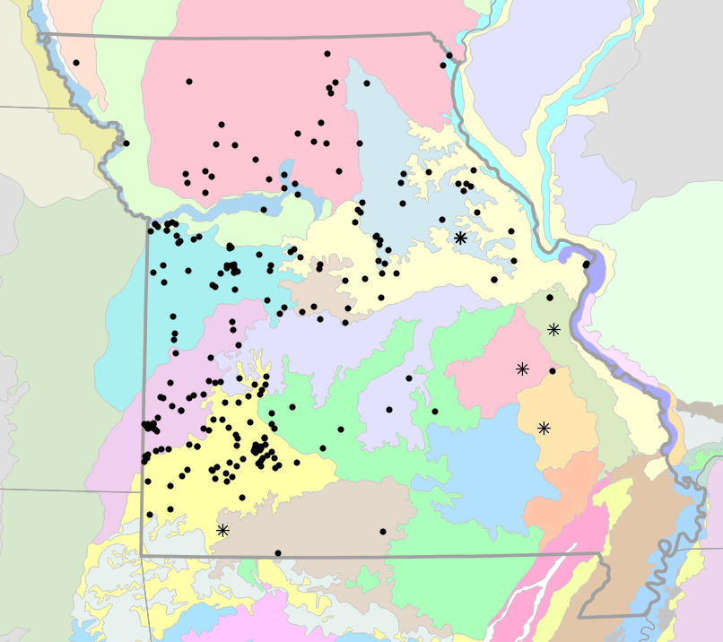Terrapene ornata (Ornate Box Turtle)